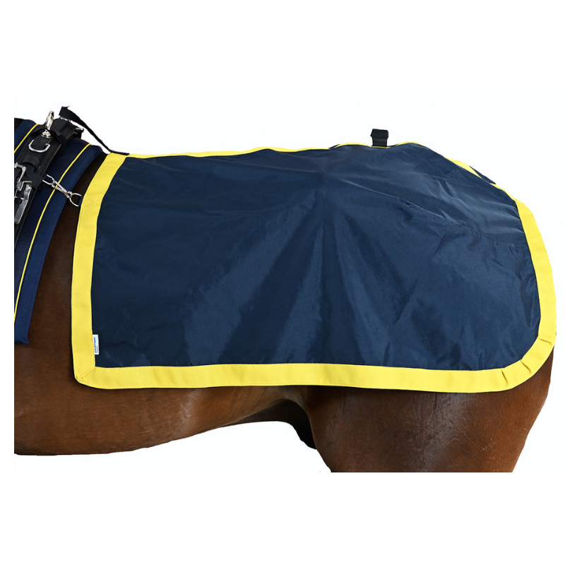 Quarter sheet DSM custommade | DSM Trotting